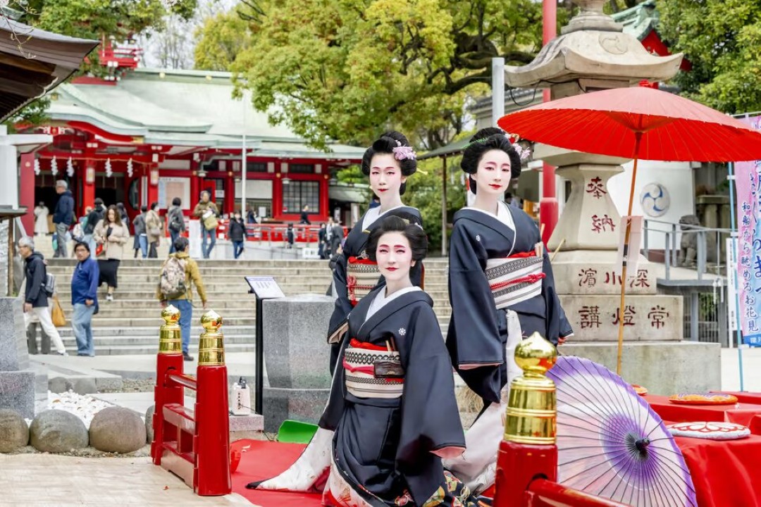 Tokyo Food Tour: Traditional Cuisine & Geisha Show