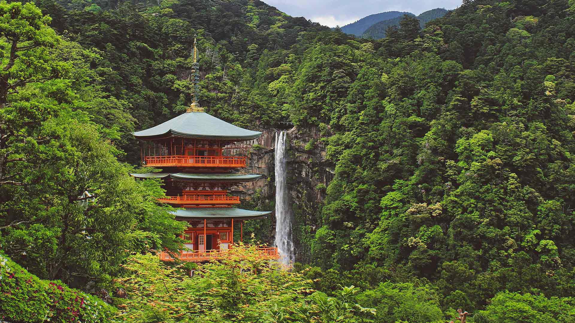 Wakayama Travel Guide: Travel Tips, Activities & More